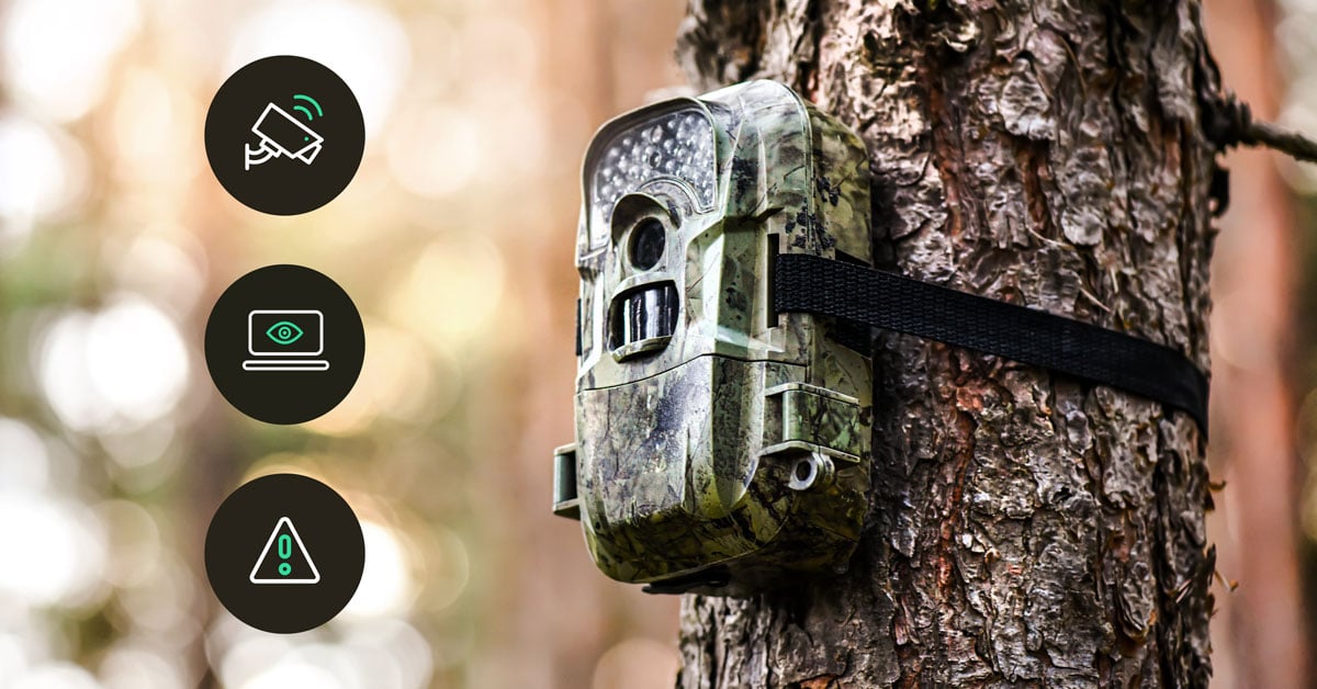 Smart Trail Cameras and IoT: Outdoor Surveillance Reimagined
